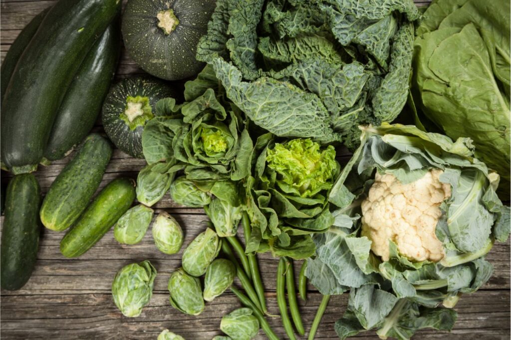 Golden Tree Liver Complex im Test » Ist Golden Tree Seriös?