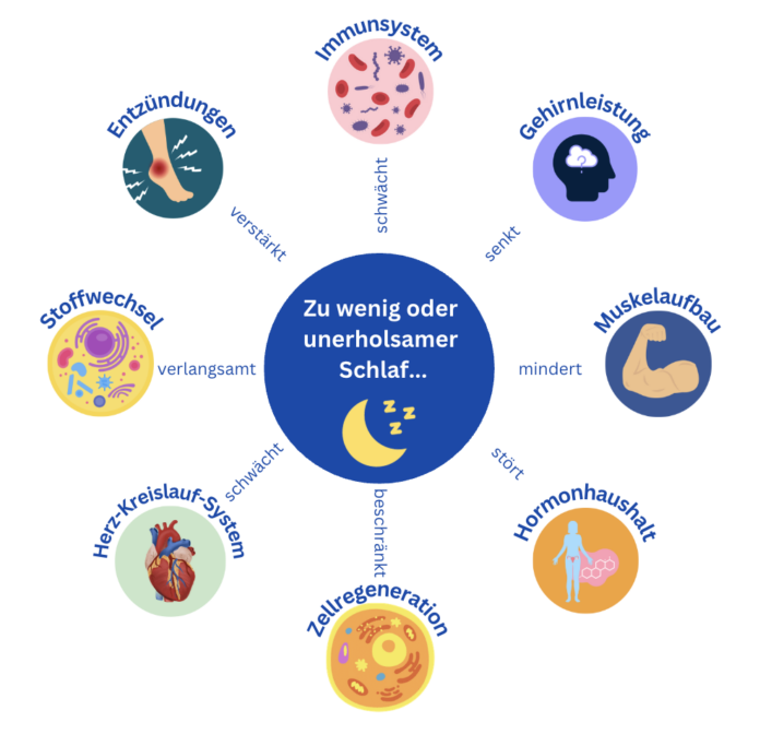 Die 4 Schlafphasen - Wie ist unser Schlaf aufgebaut?